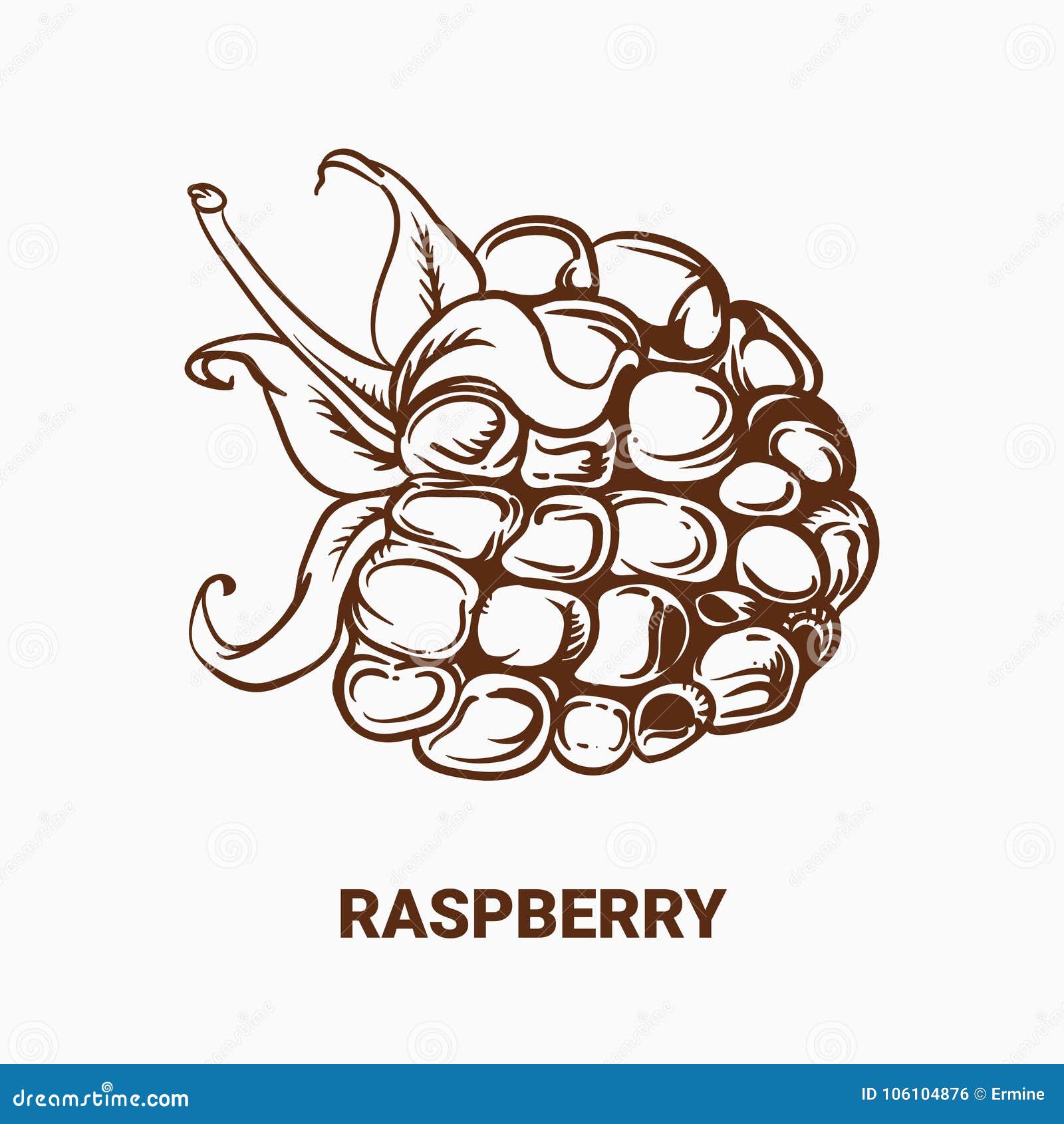 Illustration of Drawing Raspberry. Hand Draw Illustration for De Stock ...