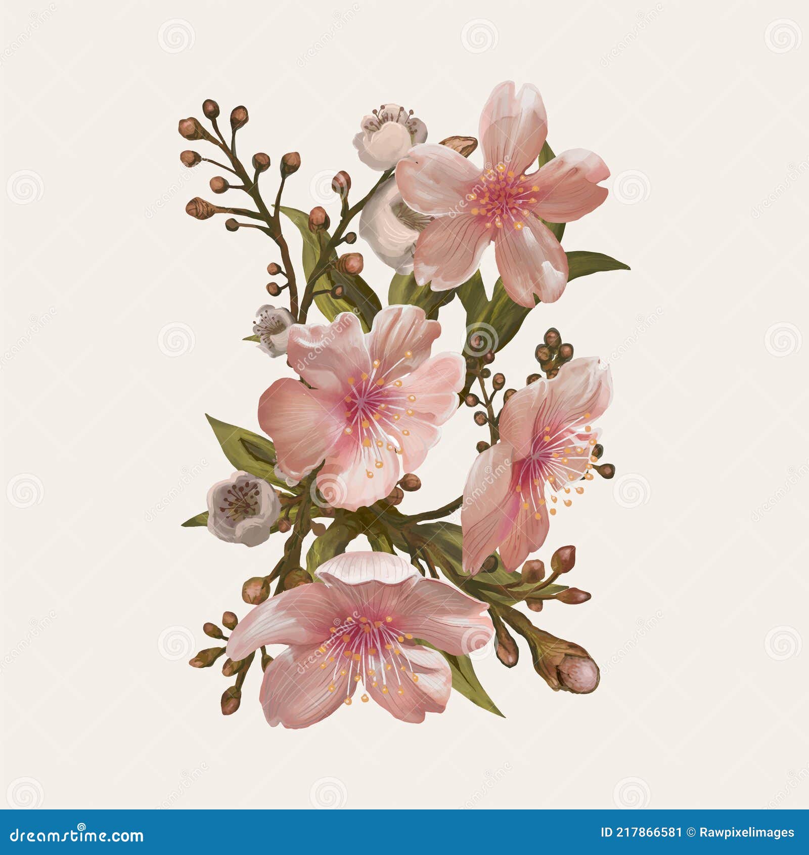 Illustration Drawing of Watercolor Flower Stock Illustration ...