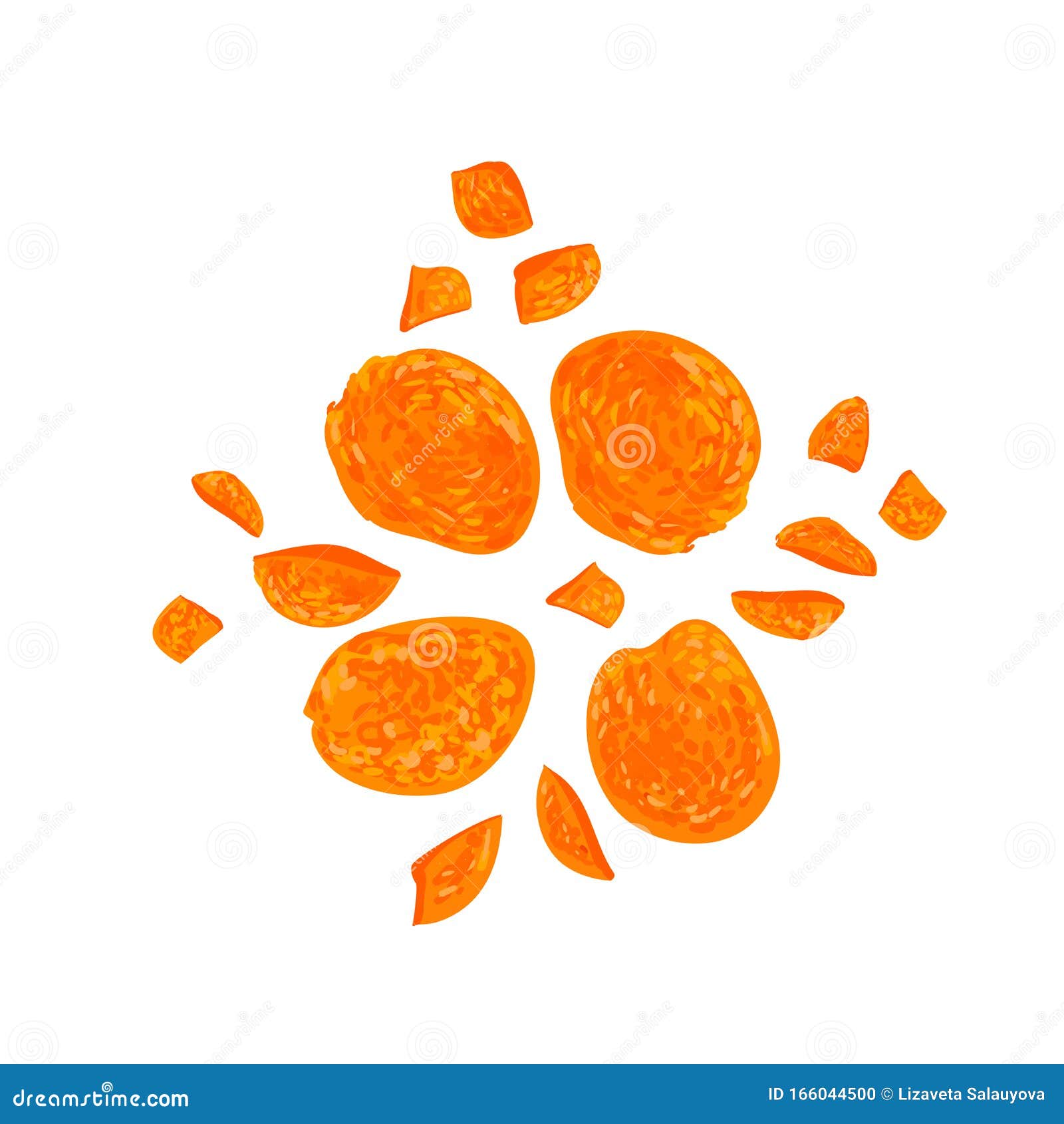 Dried Apricot Vector Drawing. Hand Drawn Dehydrated Fruit Illustration ...