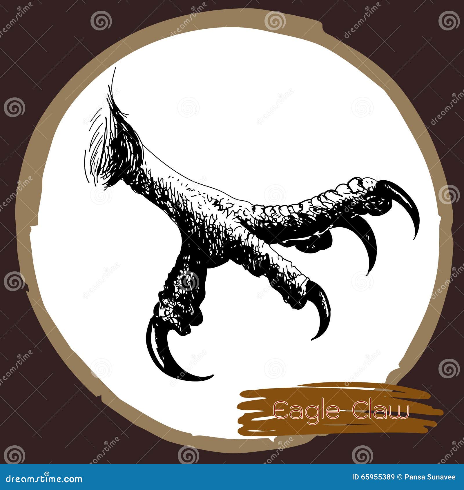 Illustration of Eagle Claw, Hawk Bird Stock Vector - Illustration of ...