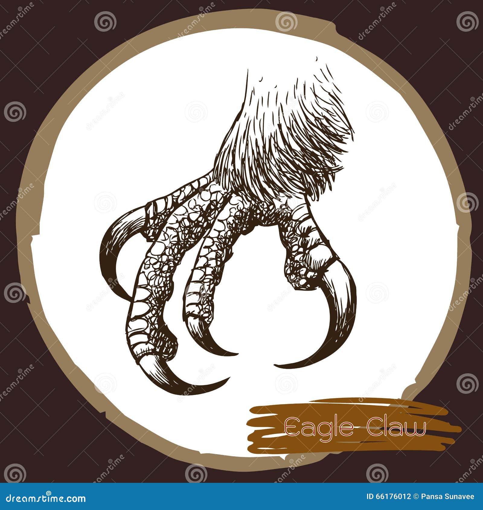 Illustration of Eagle Claw, Hawk Bird Stock Vector - Illustration of ...