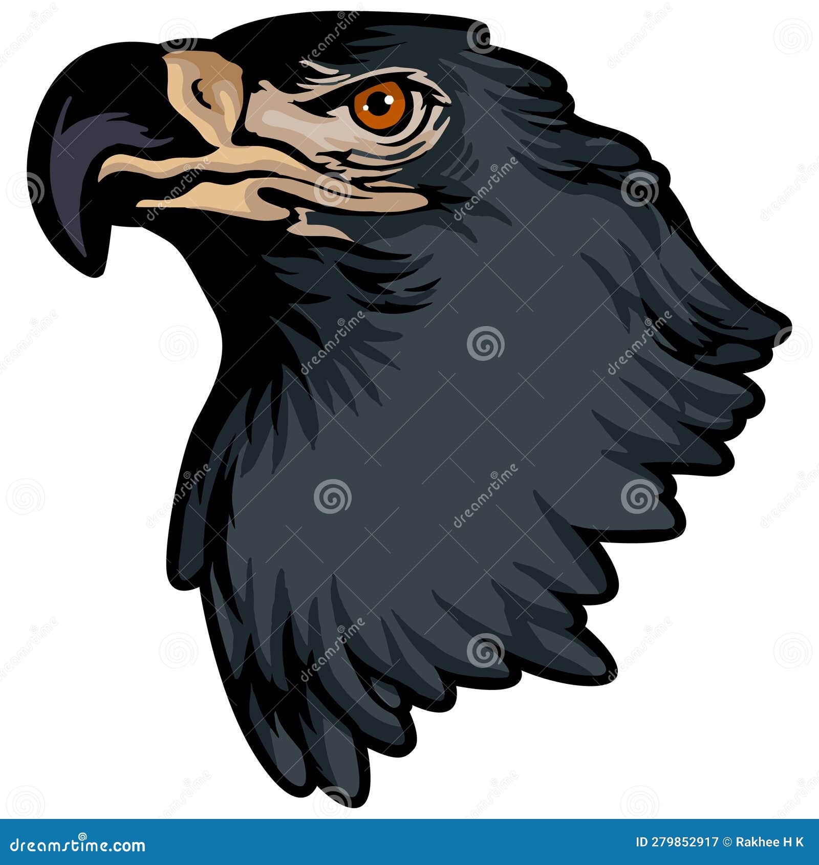 Eagle Face Illustration. Sky. Fly. Vector Stock Vector - Illustration ...