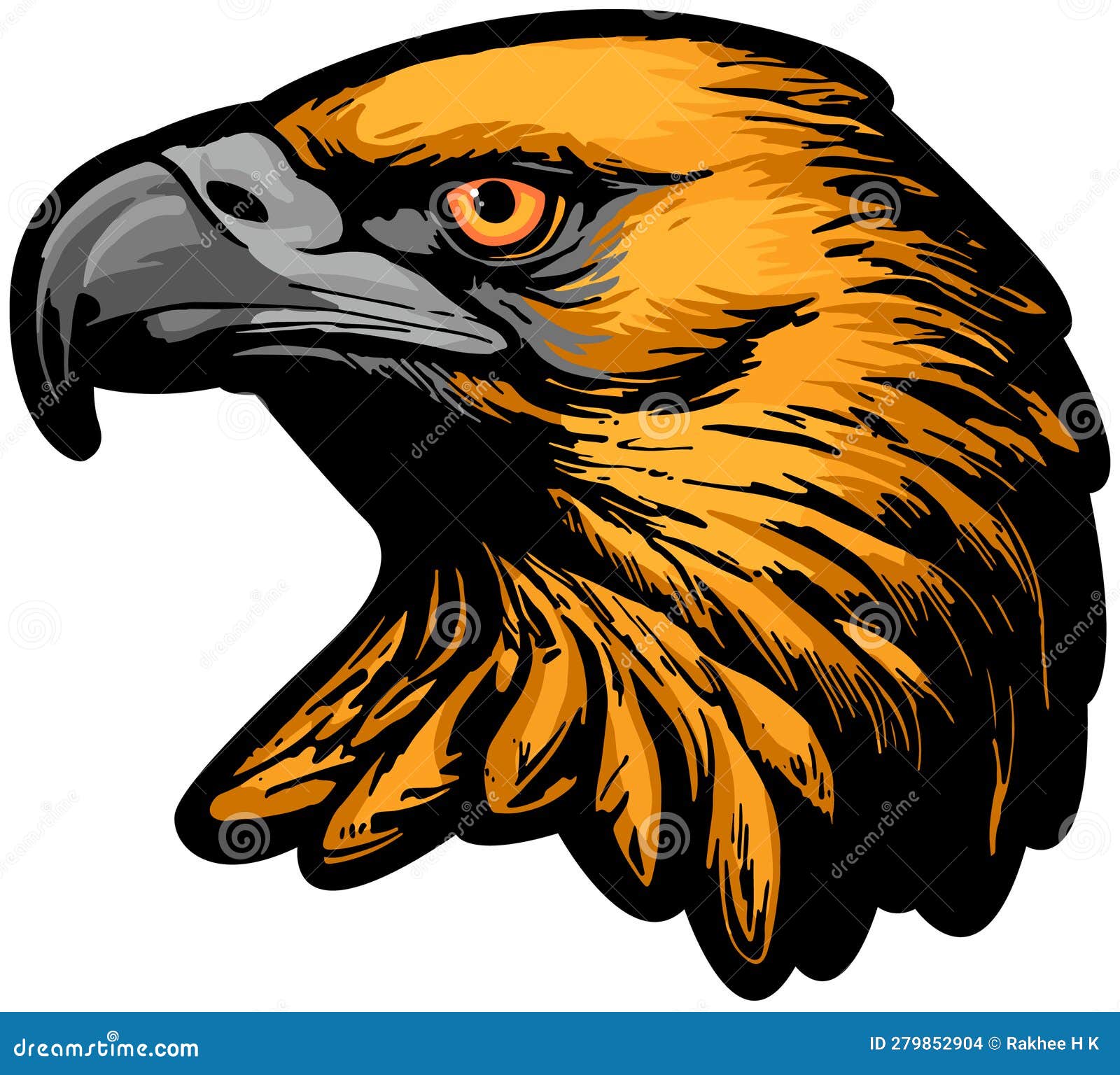 Eagle Face Illustration. Sky. Fly. Vector Stock Vector - Illustration ...