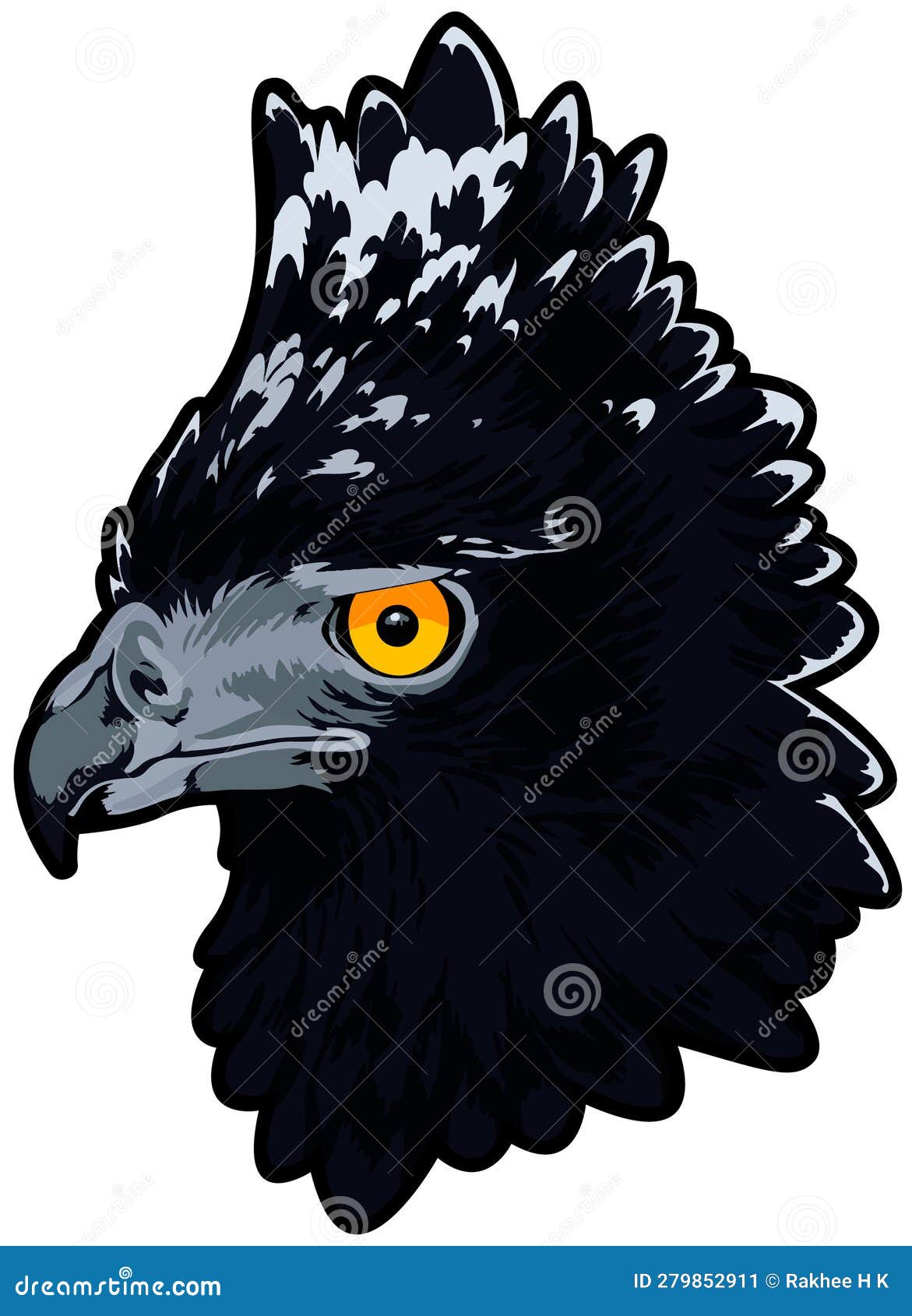 Eagle Face Illustration. Sky. Fly. Vector Stock Vector - Illustration ...