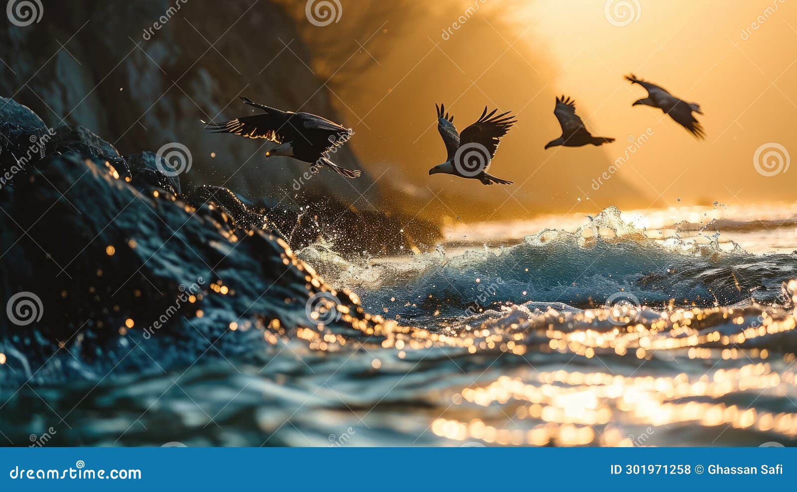 Eagles Flying Out of Water and Hovering at Dawn Stock Illustration ...