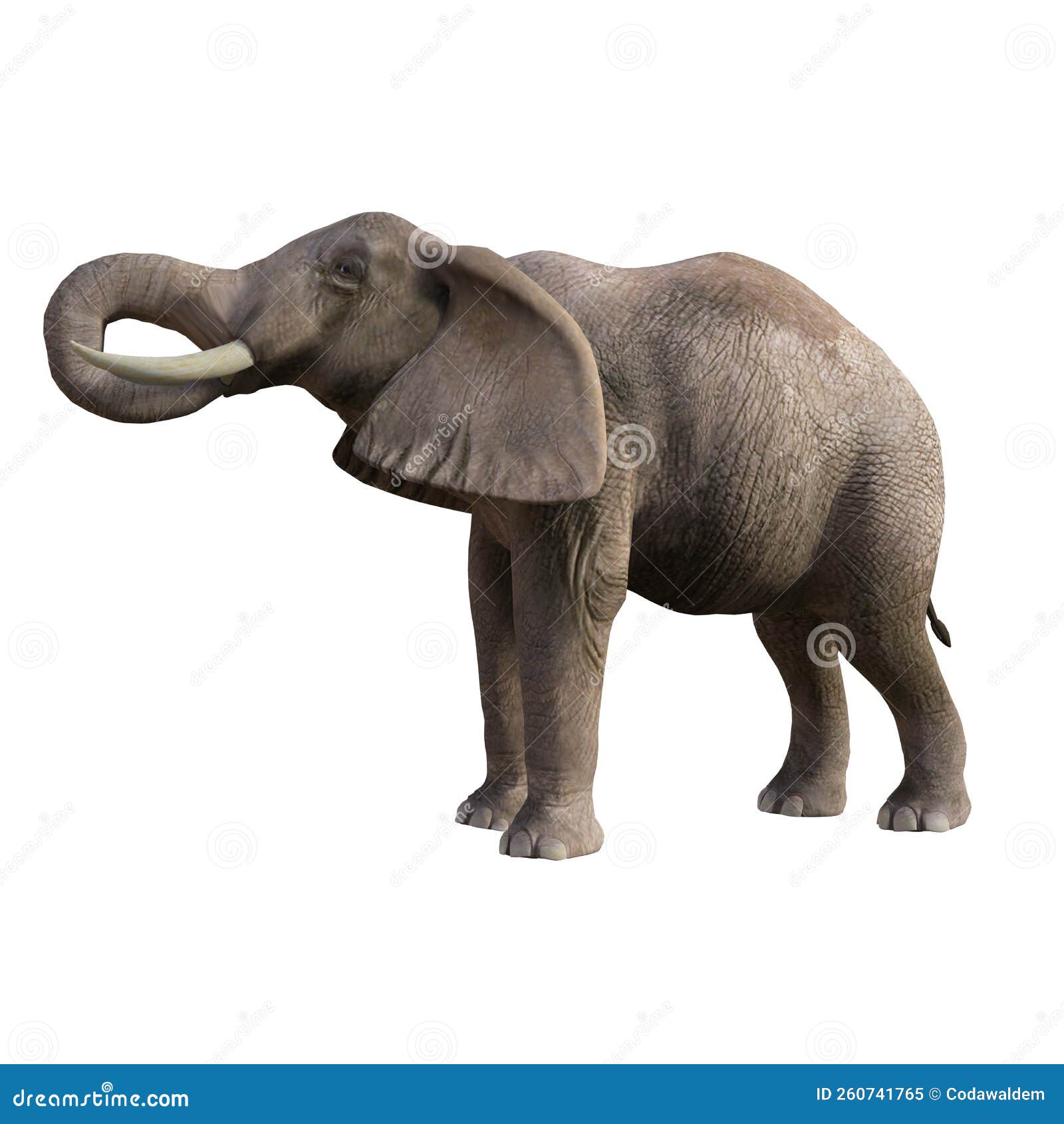 Illustration of an Elephant in Different Poses and Angles for Collage ...