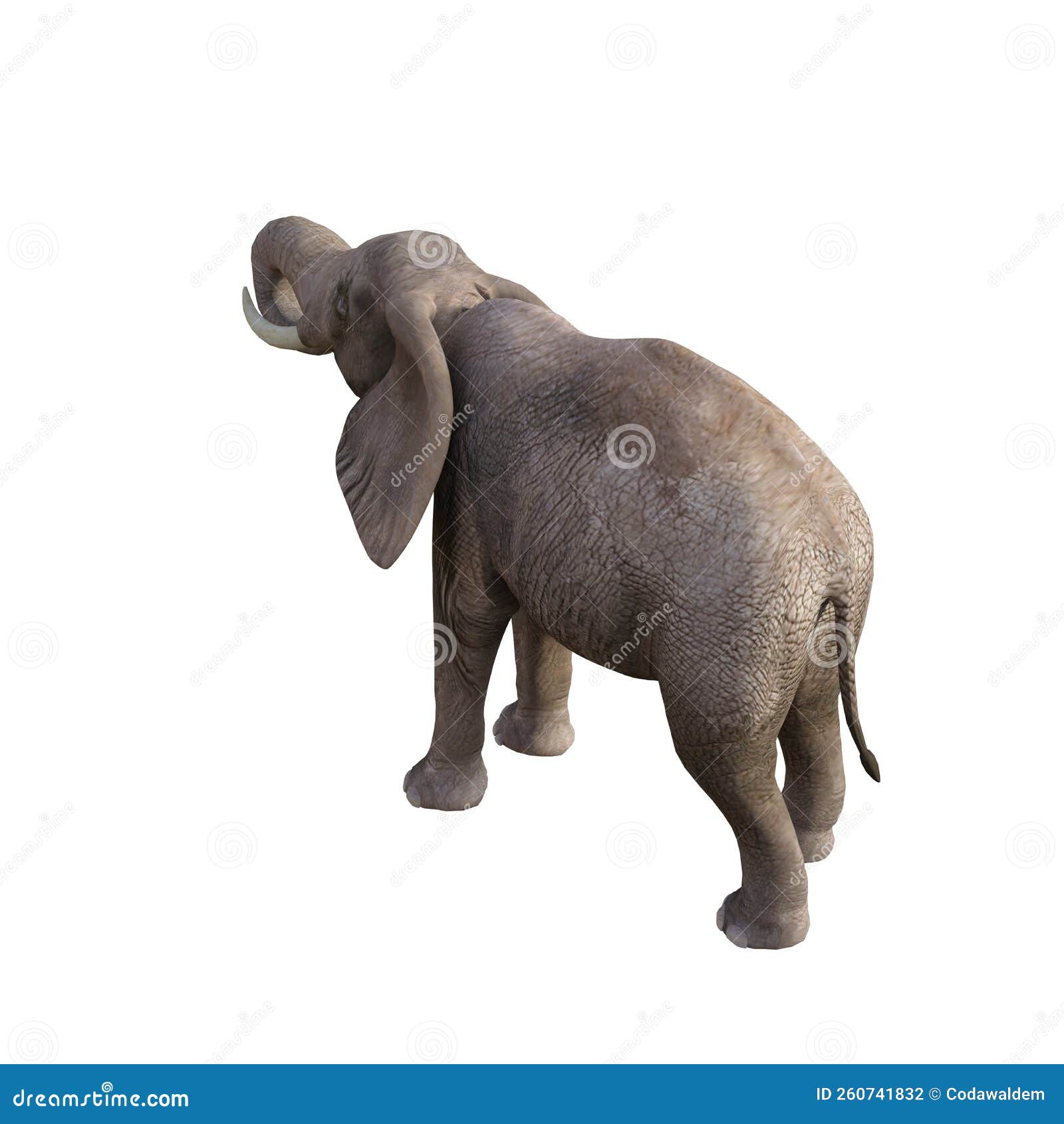 Illustration of an Elephant in Different Poses and Angles for Collage ...