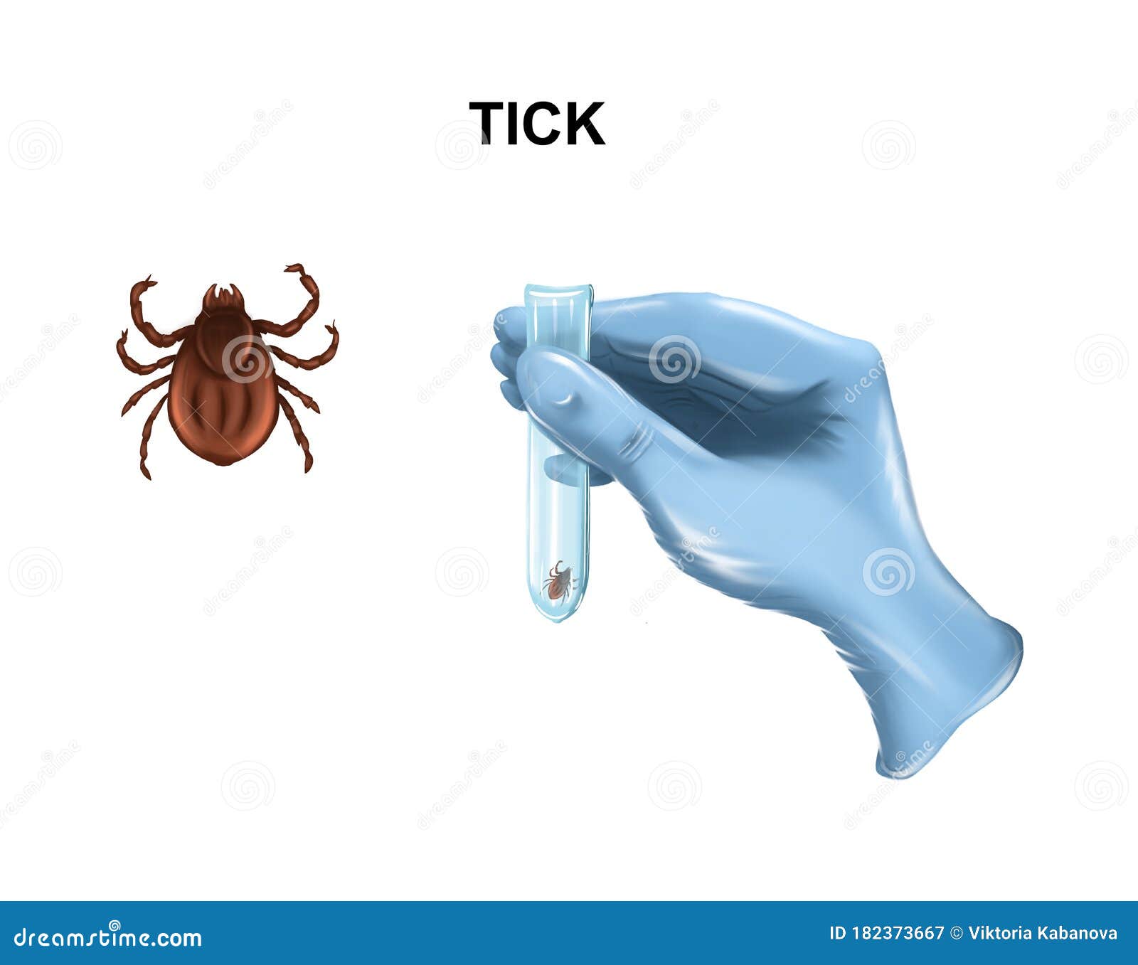 Encephalitis Tick Pixel Art. 8 Bit Red Infected Tick Vector ...