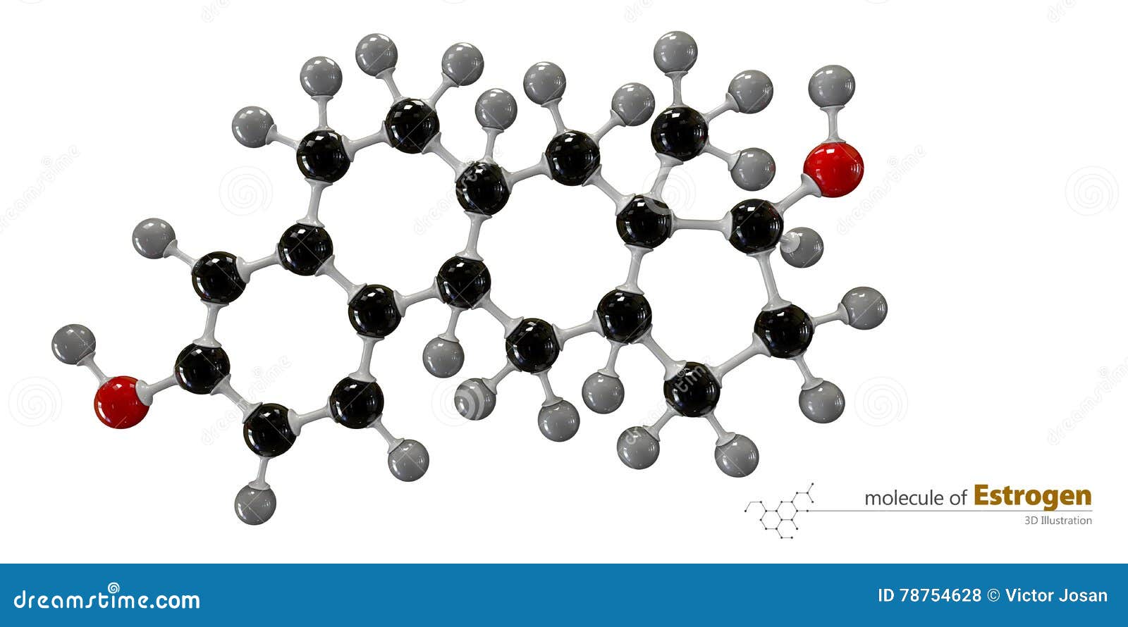 Illustration of Estrogen Molecule Isolated White Background Stock ...