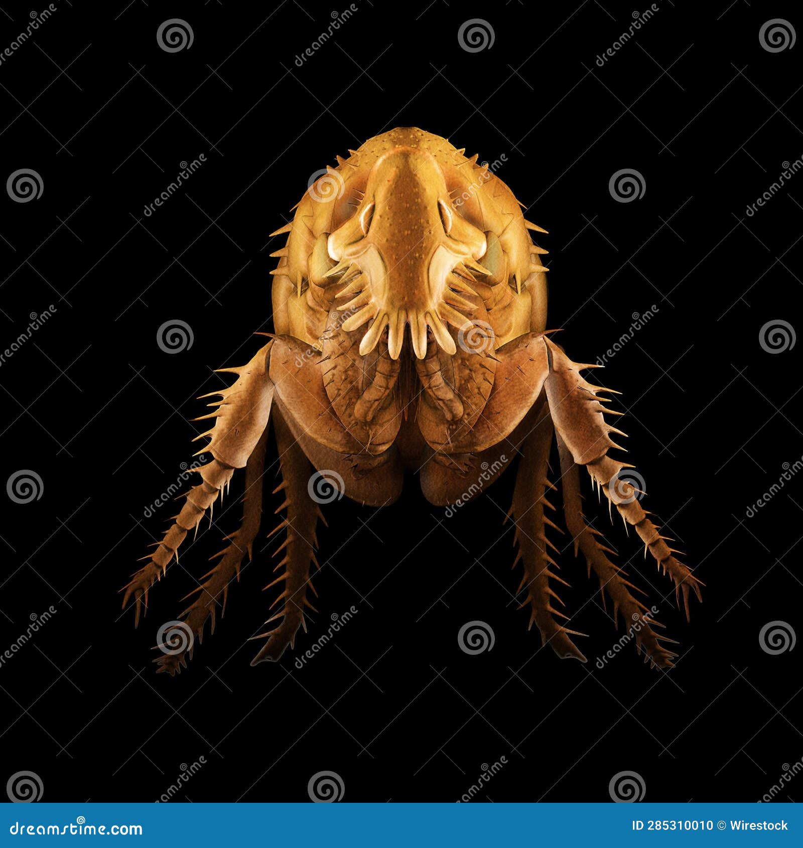 Flea Infested Dog, Scratching Fleas Illustration Cartoon Style Drawing ...