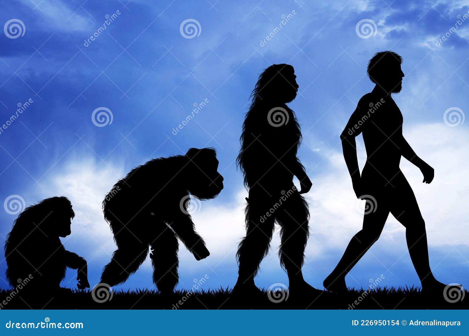 Illustration of Evolution Human Stock Illustration - Illustration of ...