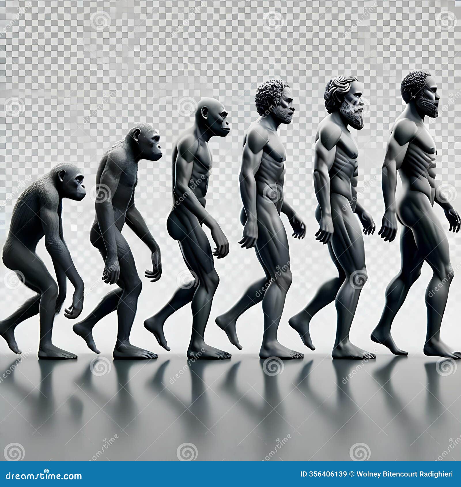 Illustration of the Evolution of Humanity Stock Illustration ...