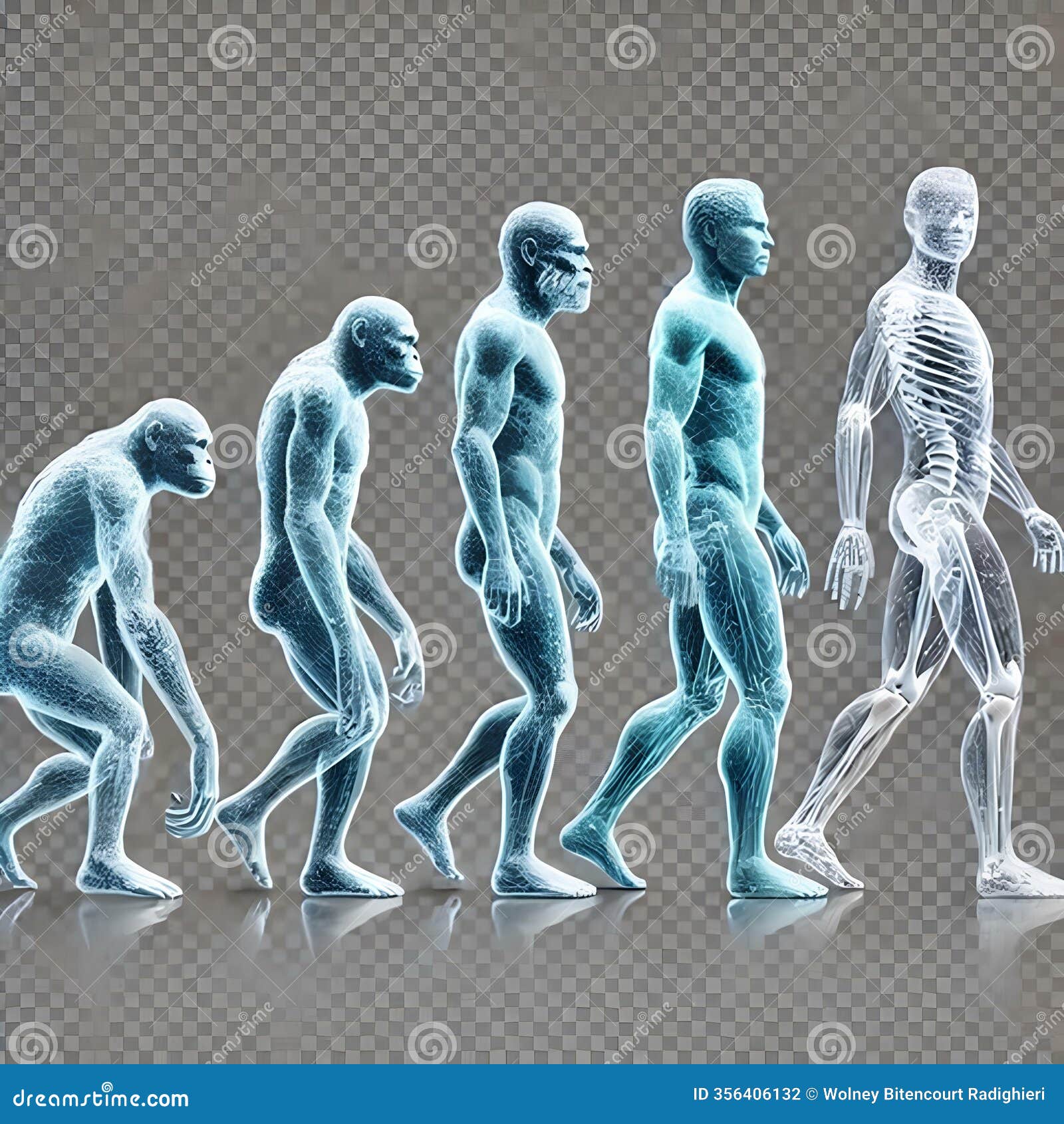 Illustration of the Evolution of Humanity Stock Illustration ...