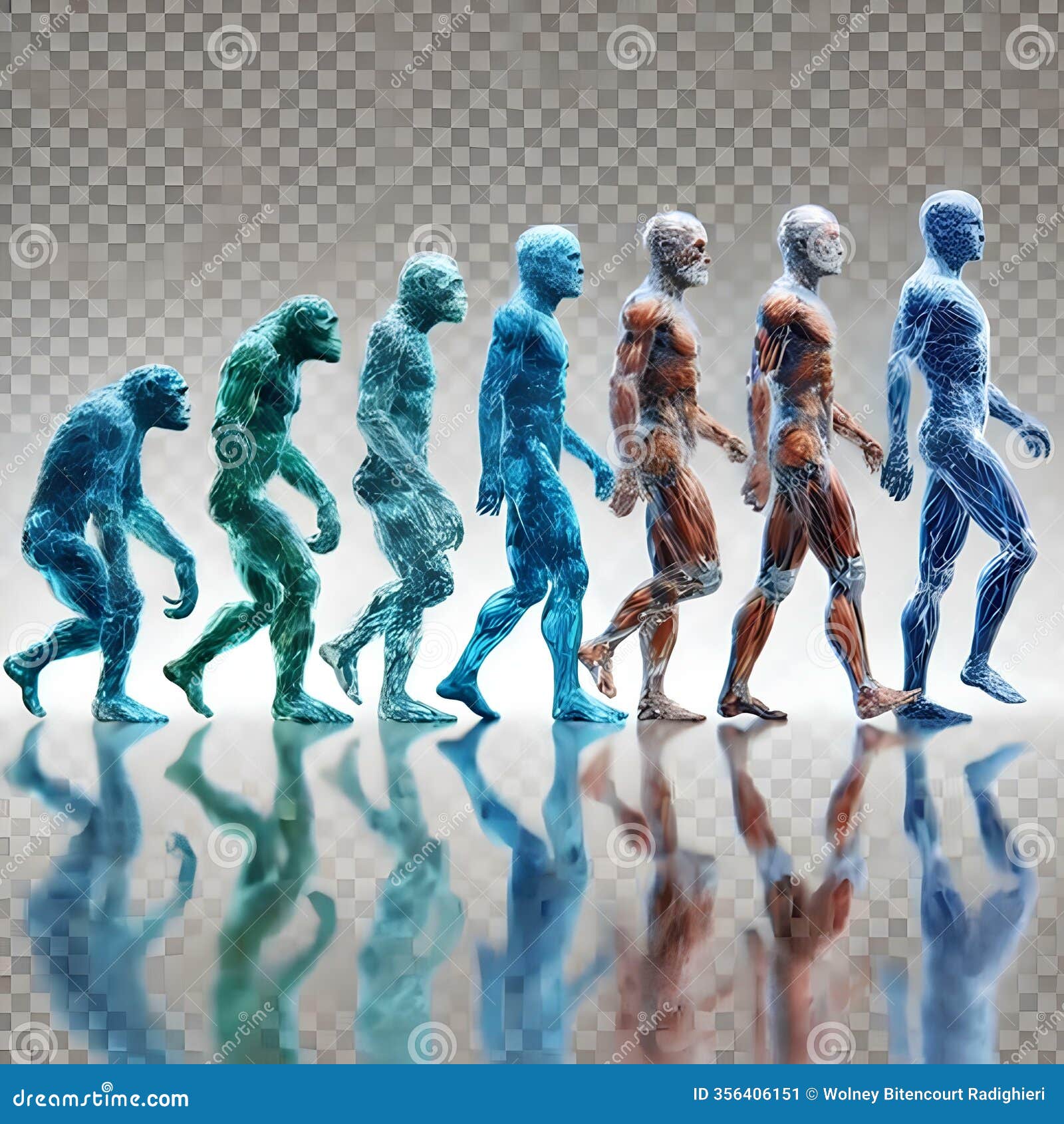 Illustration of the Evolution of Humanity Stock Illustration ...
