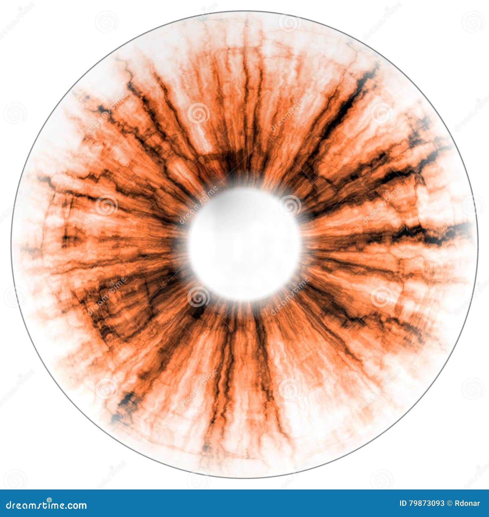 Illustration of Eye Negative, Orange Iris, Light Reflection. Middle ...