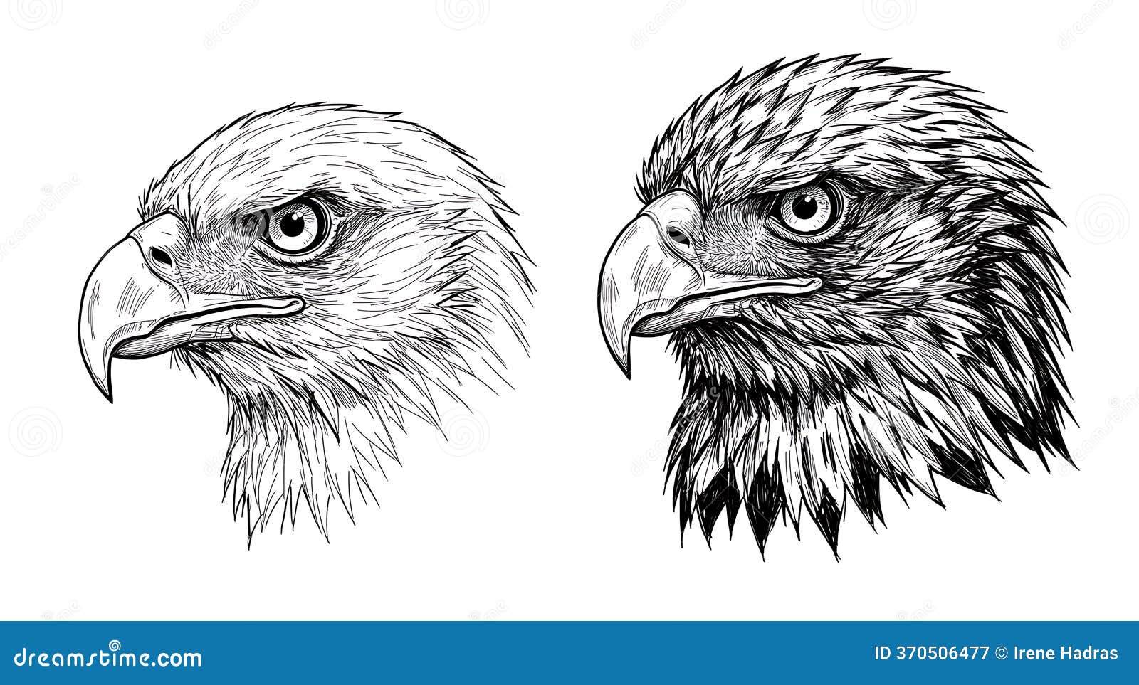 Eagle Heads Vector Silhouette Shapes Illustration. | CartoonDealer.com ...