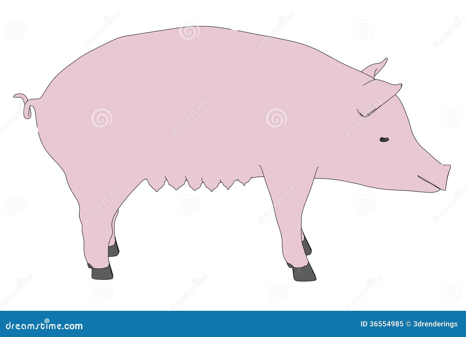 Illustration of female pig stock illustration. Illustration of drawing ...