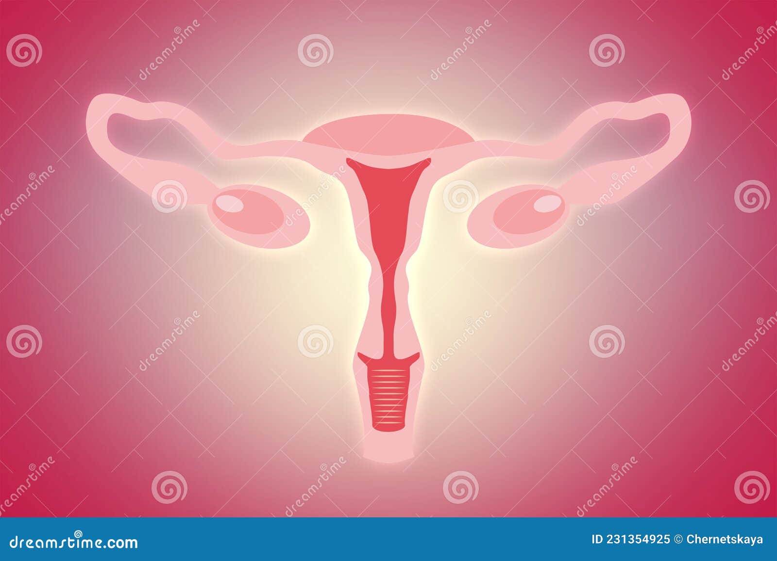 Illustration Of Female Reproductive System On Pink Background Stock