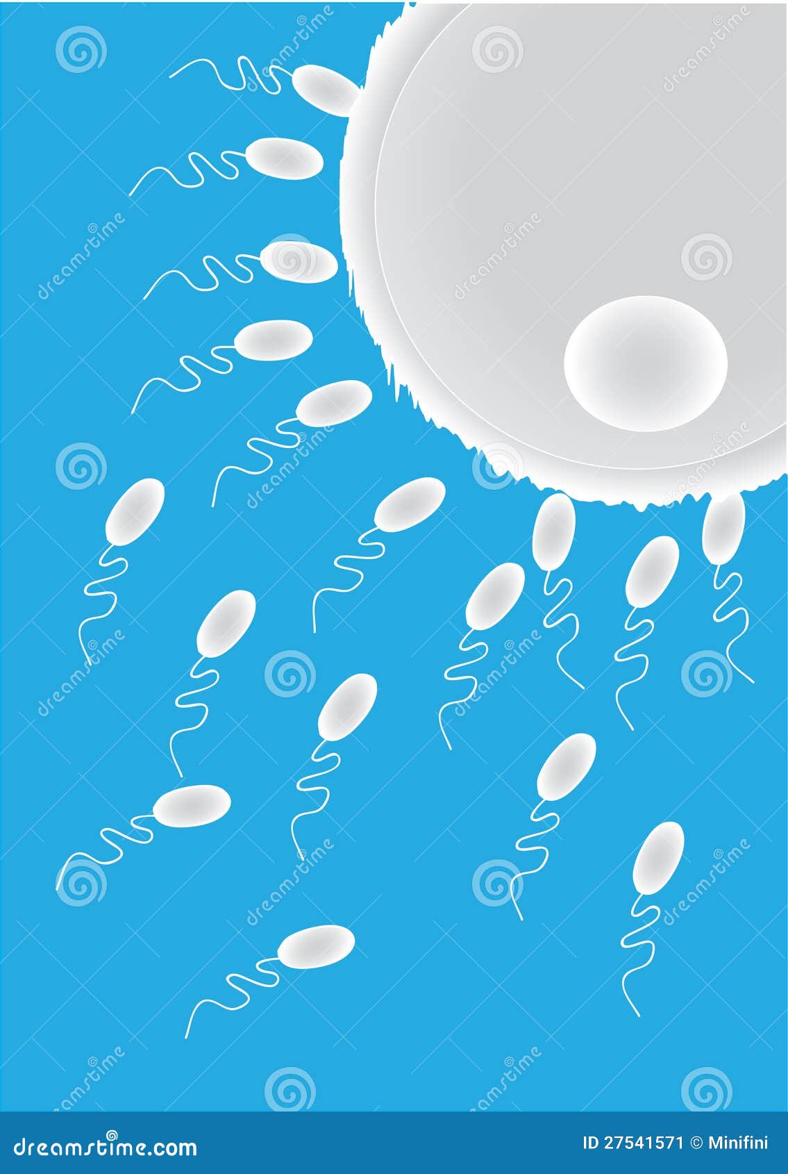 Fertilization Process Icon. Cartoon Comic Design. Spermatozoons ...