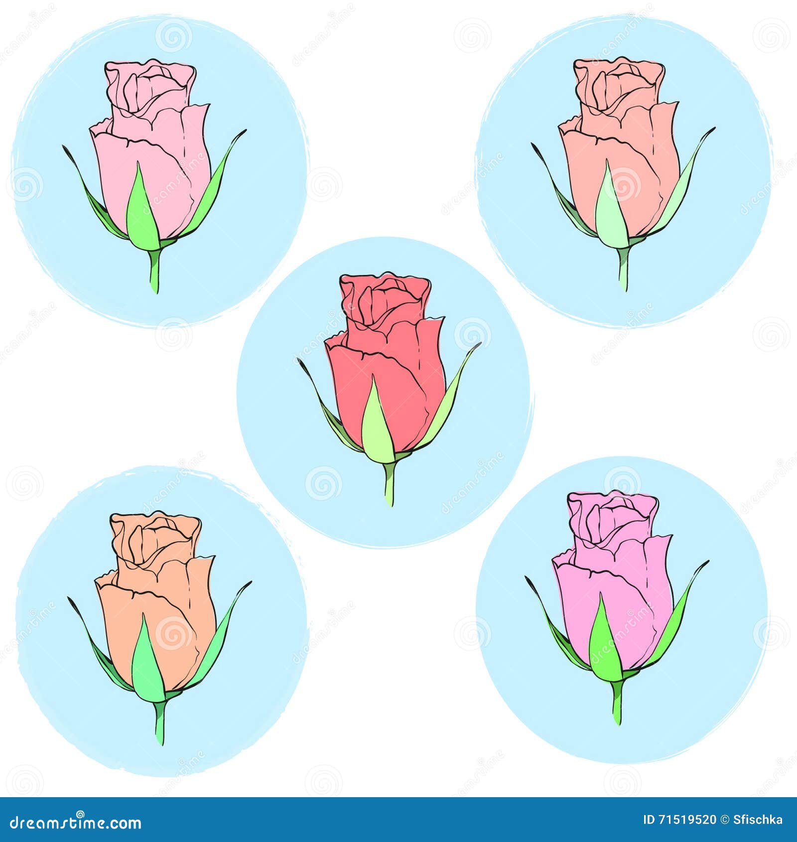 Five Roses Isolated From Different Angles On A White Background Vector ...