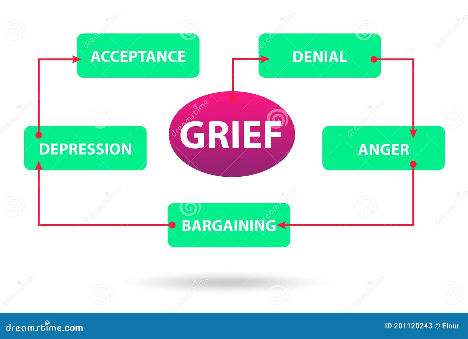 Five Stages Of Grief Diagram. Education Of Psychological Acceptance ...
