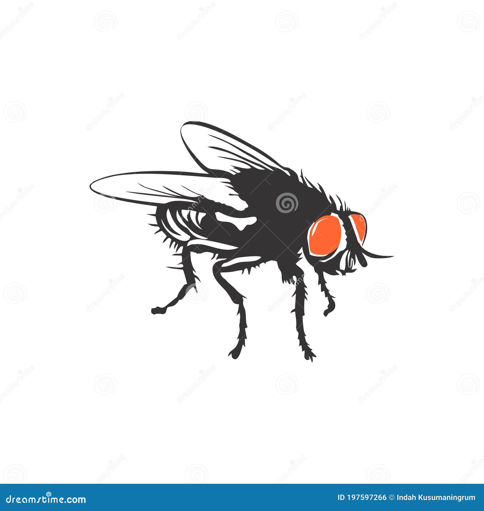 Flies Before Eyes. Symptom Of Eye Diseases Vector Illustration ...