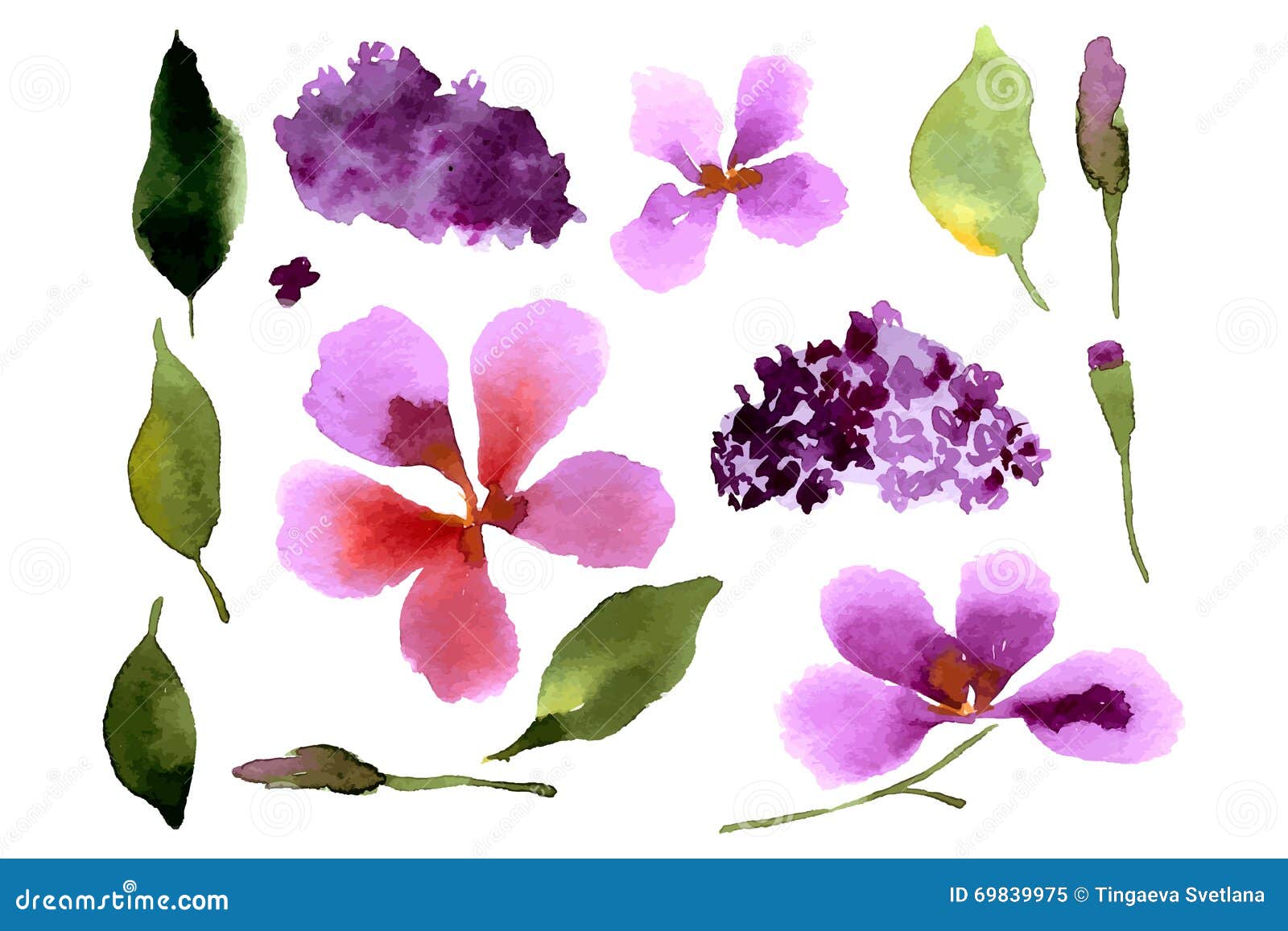 Illustration with Flowers and Leaves Stock Illustration - Illustration ...