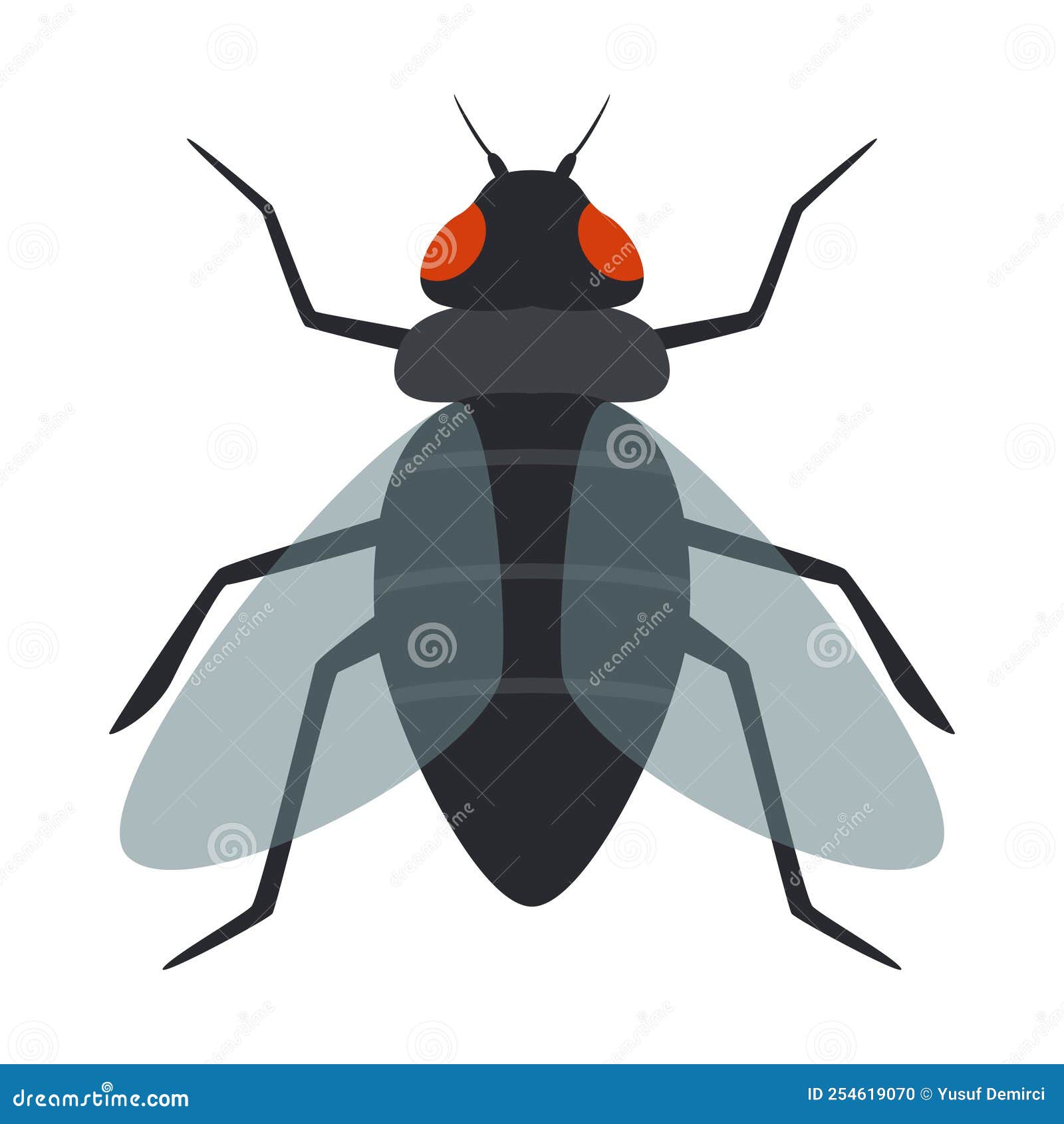 Illustration of a Fly Insect Stock Illustration - Illustration of ...