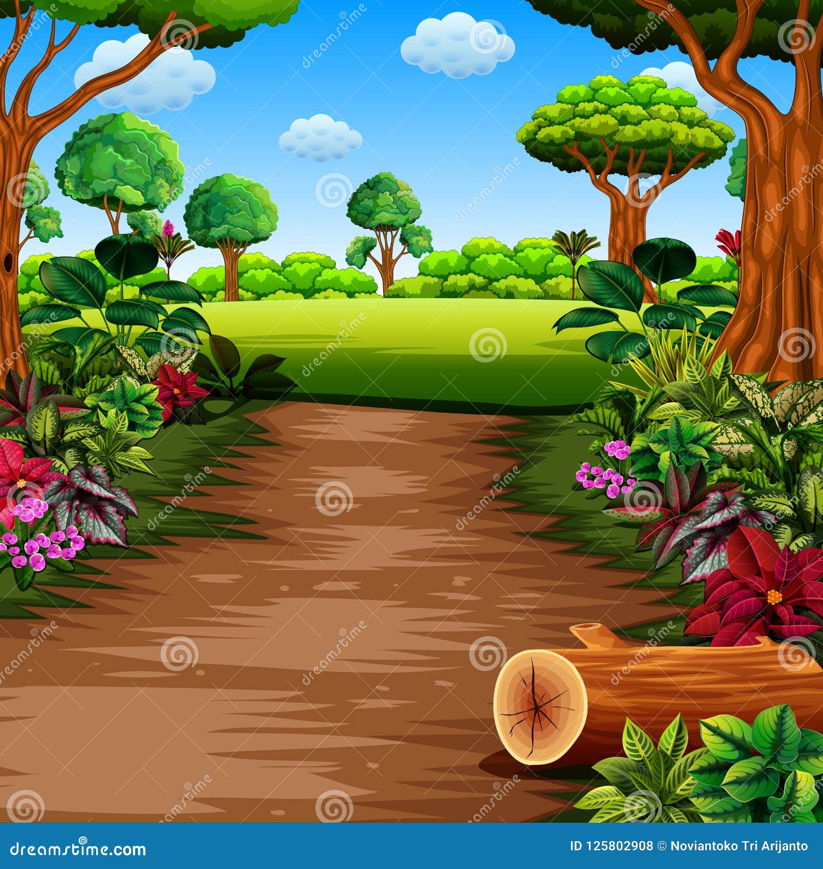 The Forest with Footpath and Beautiful Plants Both Side Stock Vector ...