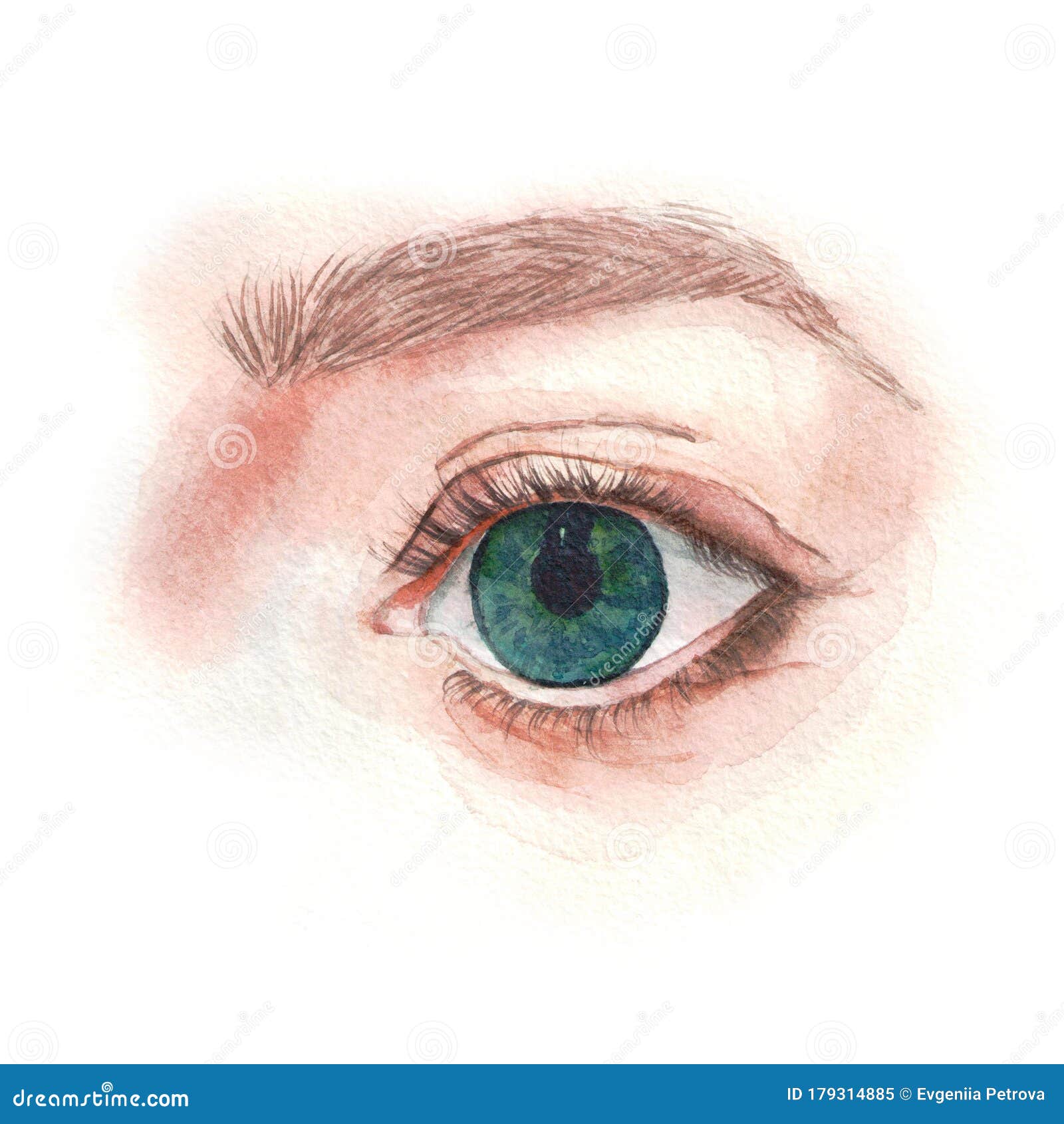 Illustration of a Forward Looking Eye. Stock Illustration ...