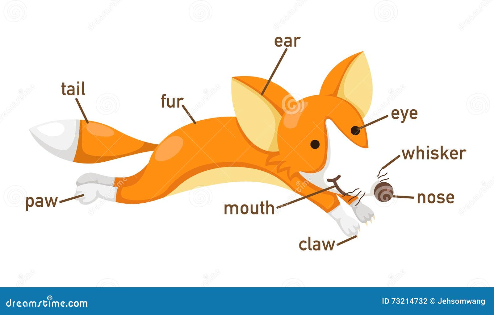Illustration of Fox Vocabulary Part of Body Stock Vector - Illustration ...