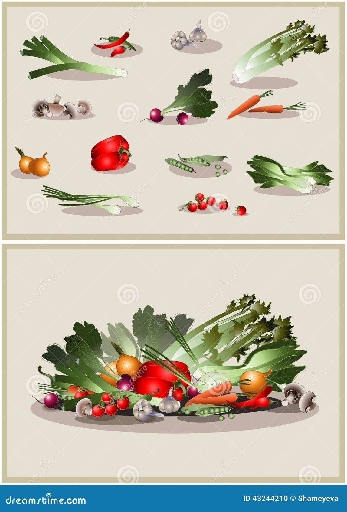 Illustration Fresh Vegetables. Icon Stock Vector - Illustration of ...