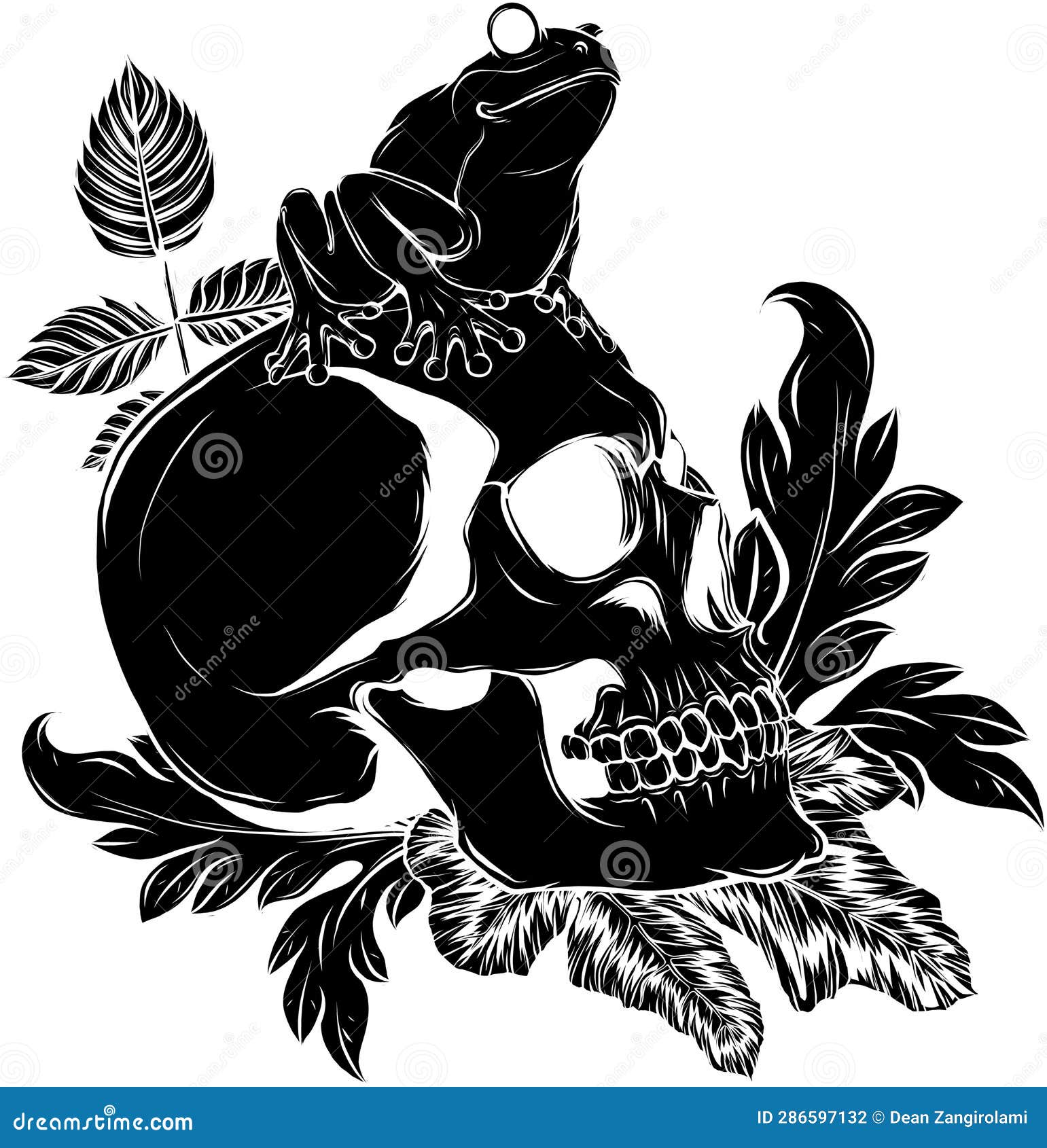 Black Silhouette of Frog on the Skull and Leaves Stock Vector ...