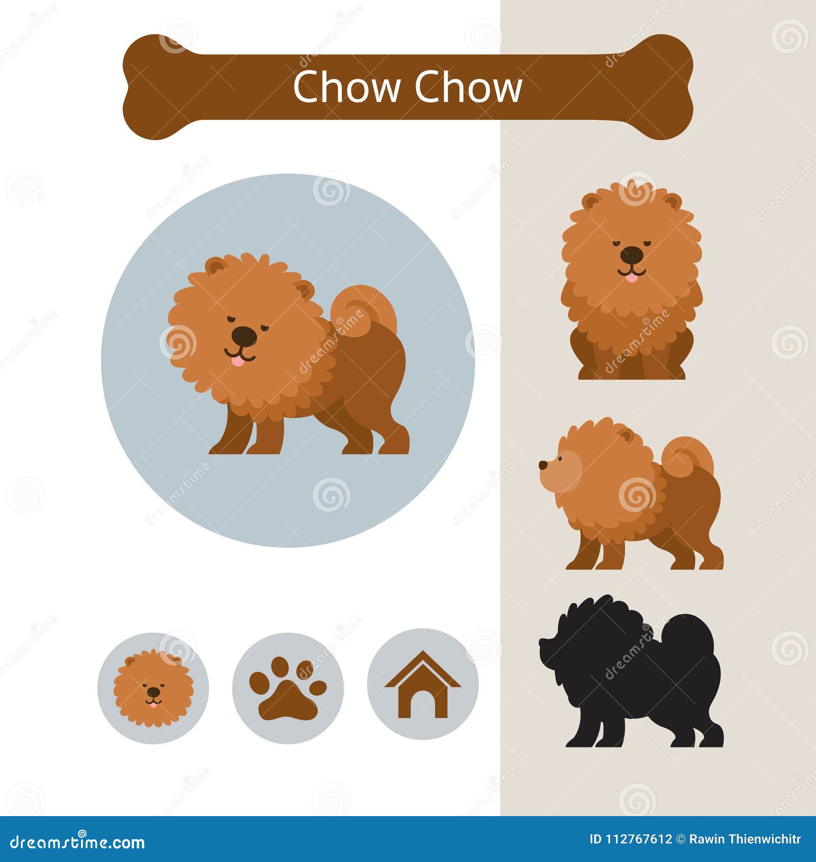 Chow Chow Dog Breed Infographic Stock Vector - Illustration of chow ...