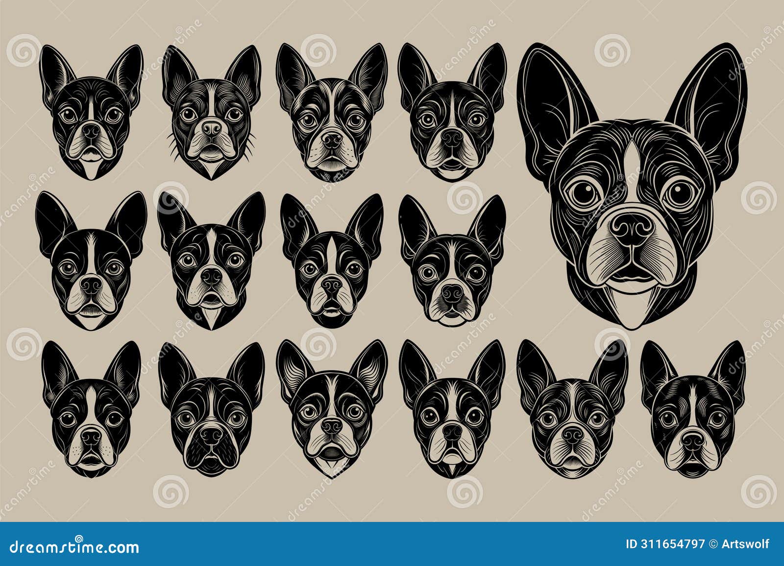 Illustration of Front View Boston Terrier Dog Head Design Set Stock ...