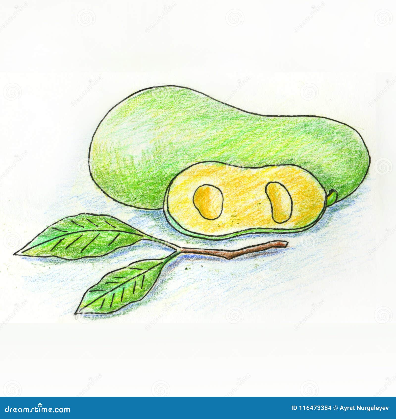 Asimina Fruit Cute Funny Cheerful Characters With Different Poses And ...