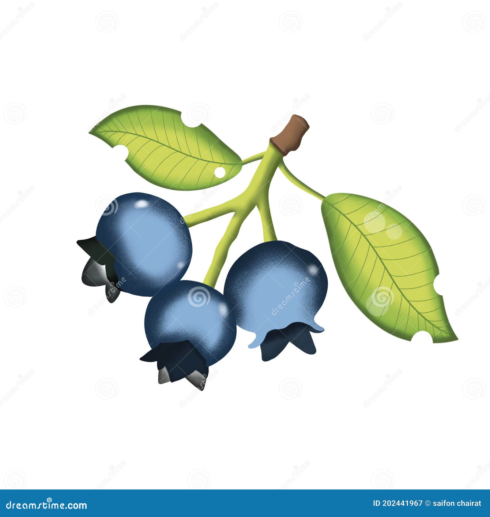 Illustration Fruit 3 Blueberries Purple Cartoon Stock Illustration ...