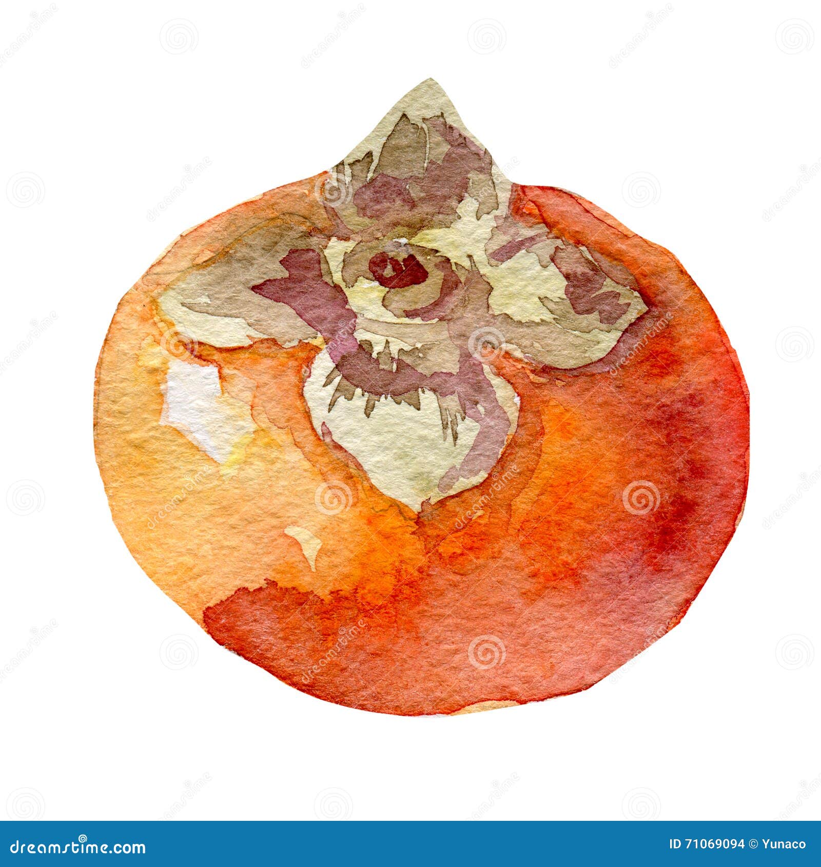 Fruit Persimmon Set Hand Drawn Vector Illustration Sketch ...