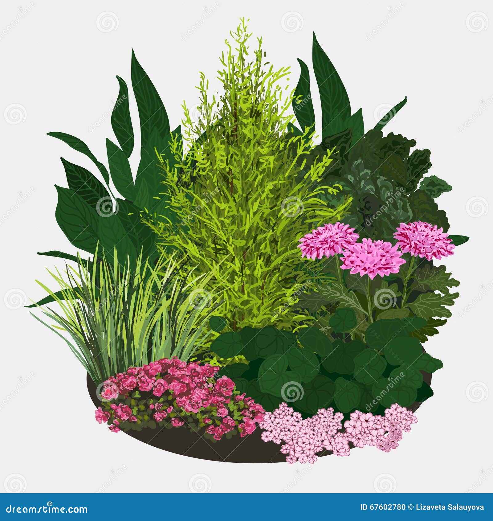Illustration of Garden Flower Bed Stock Vector - Illustration of ...