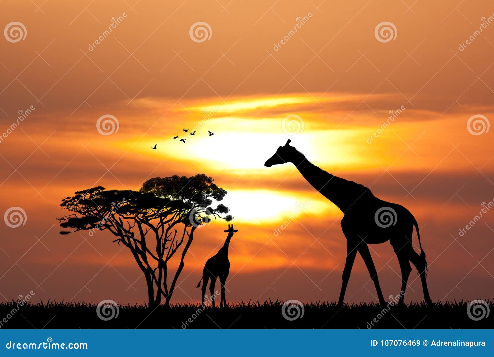 Giraffe at sunset stock illustration. Illustration of wild - 107076469