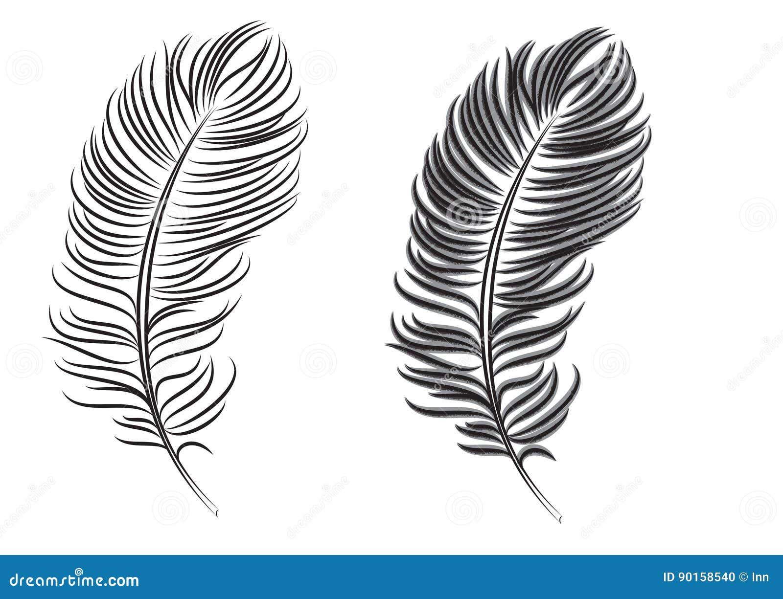 Illustration Graphique De Vecteur De Plume Illustration de Vecteur ...