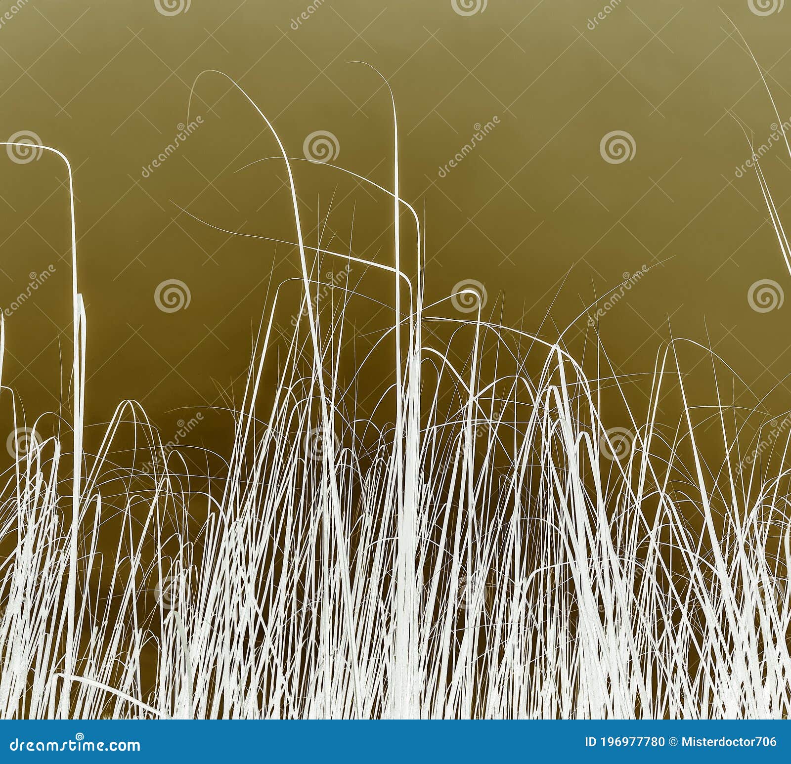 Illustration of Grass in Solid Brown Background. Stock Photo - Image of ...