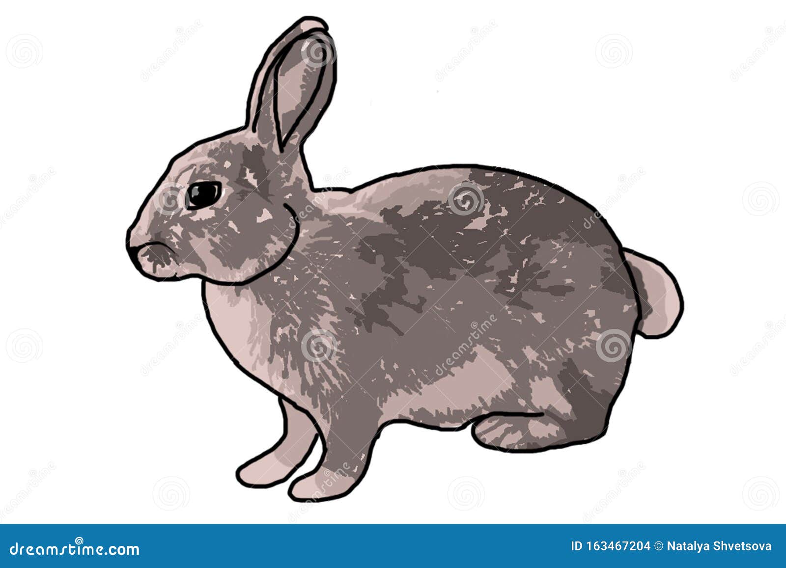 Illustration of a Gray Hare on a White Background Stock Illustration ...