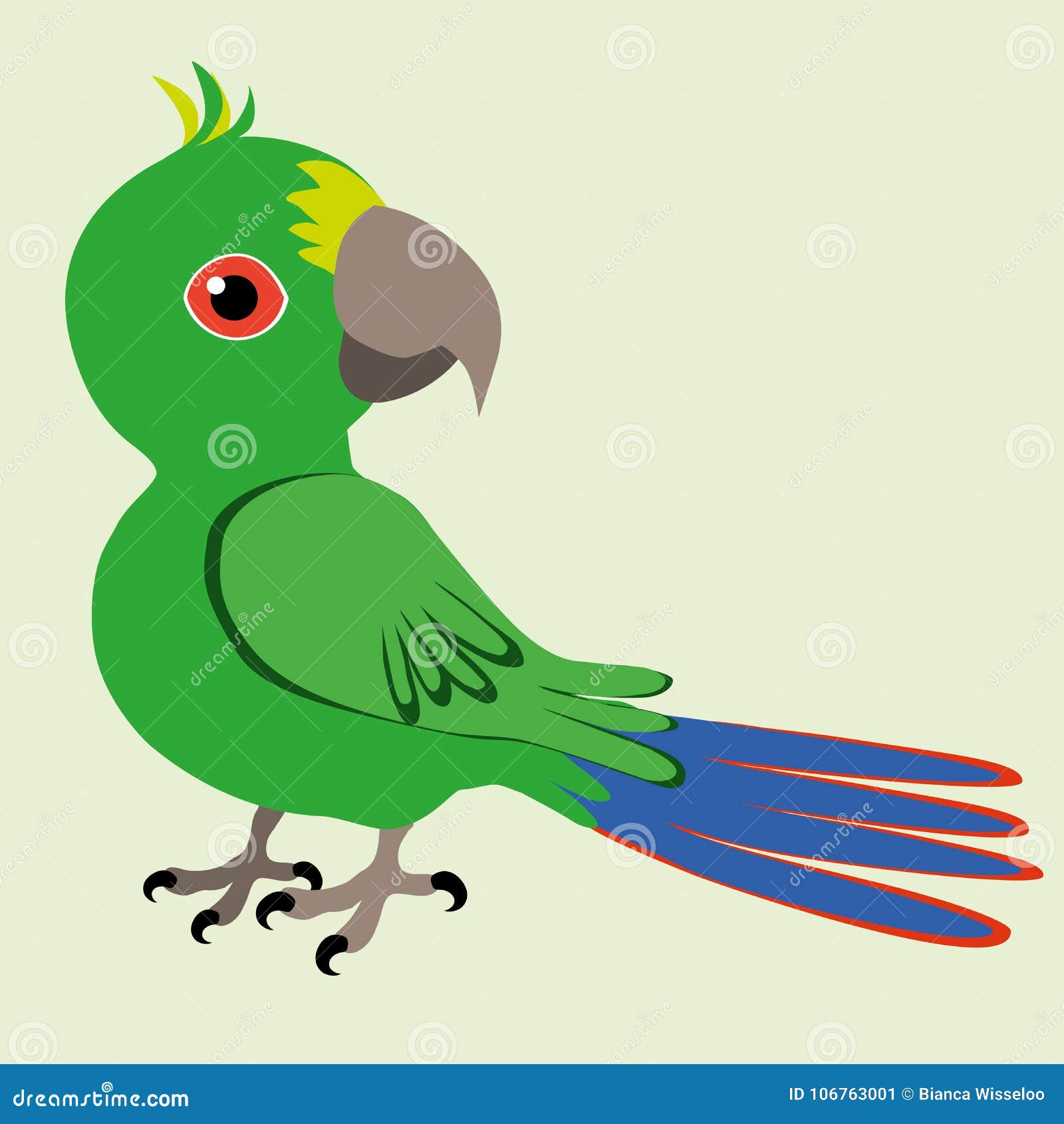 Cartoon Conure Jenday Parakeet On White Background Vector Illustration ...