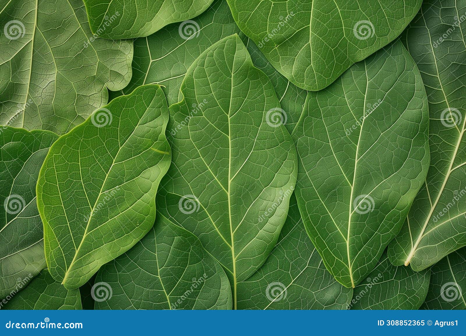 Illustration of Green Leaves on the Ground Texture. Generative AI Stock ...