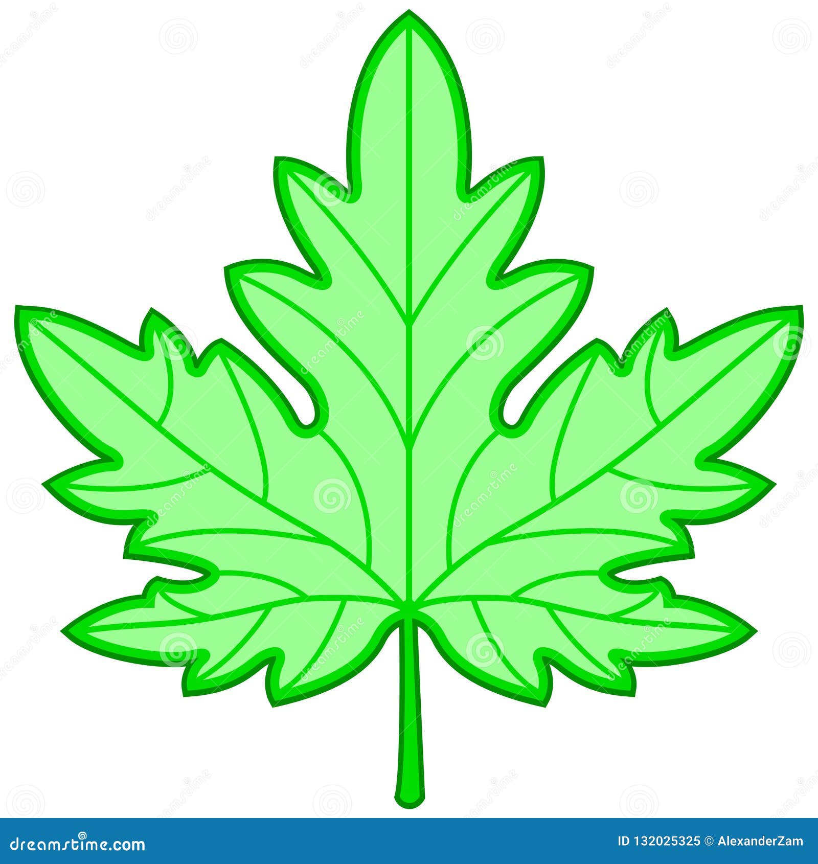 Maple leaf illustration stock vector. Illustration of summer - 132025325