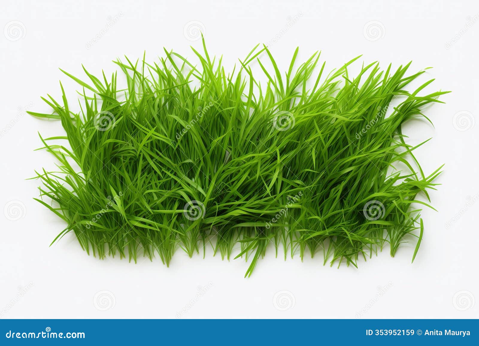 Illustration of a Green Patch of Grass is Shown with a Green Background ...