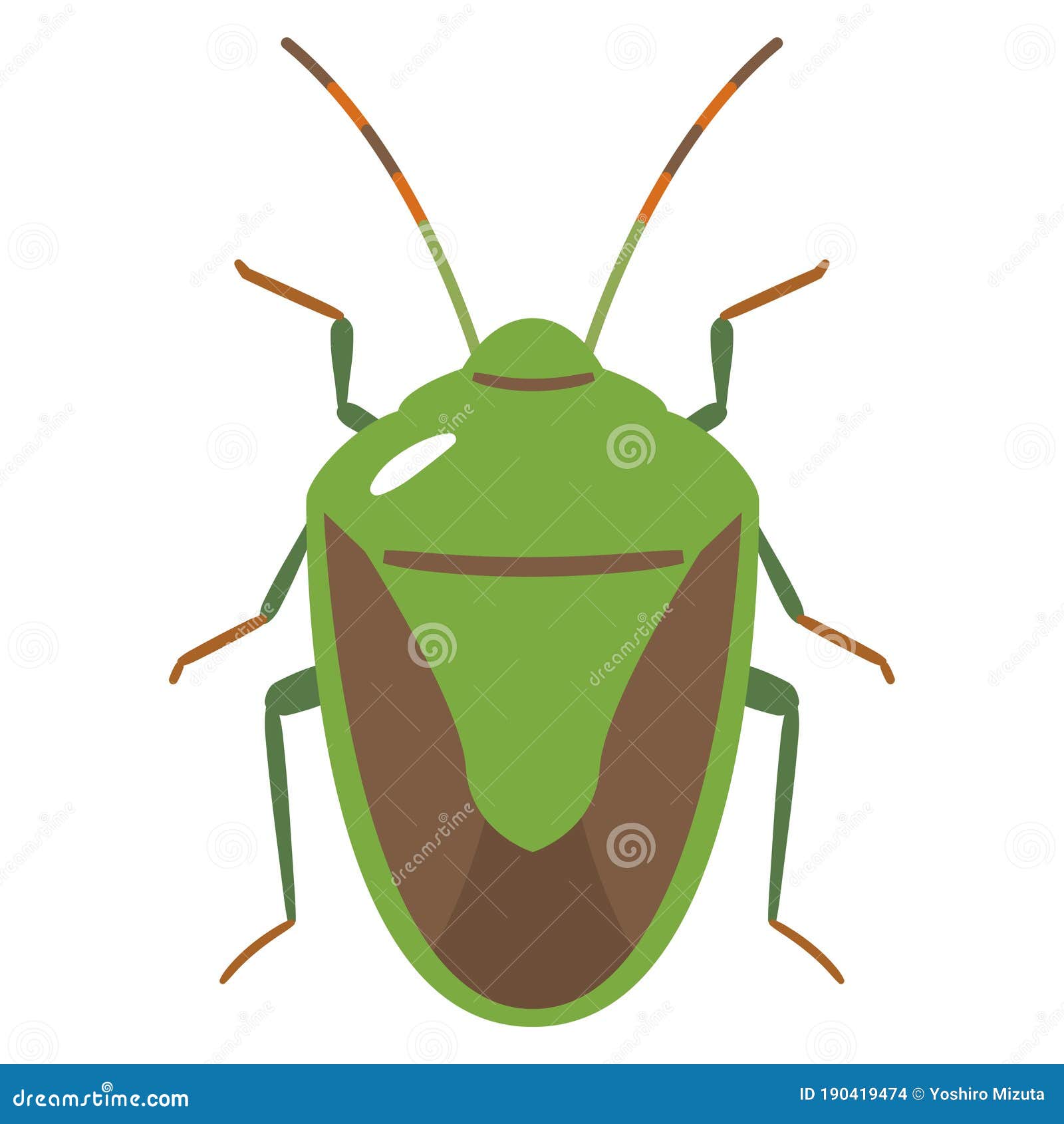 Illustration of a Green Stink Bug Stock Vector - Illustration of wild ... Illustration of a Green Stink Bug Stock Vector - Illustration of wild ...