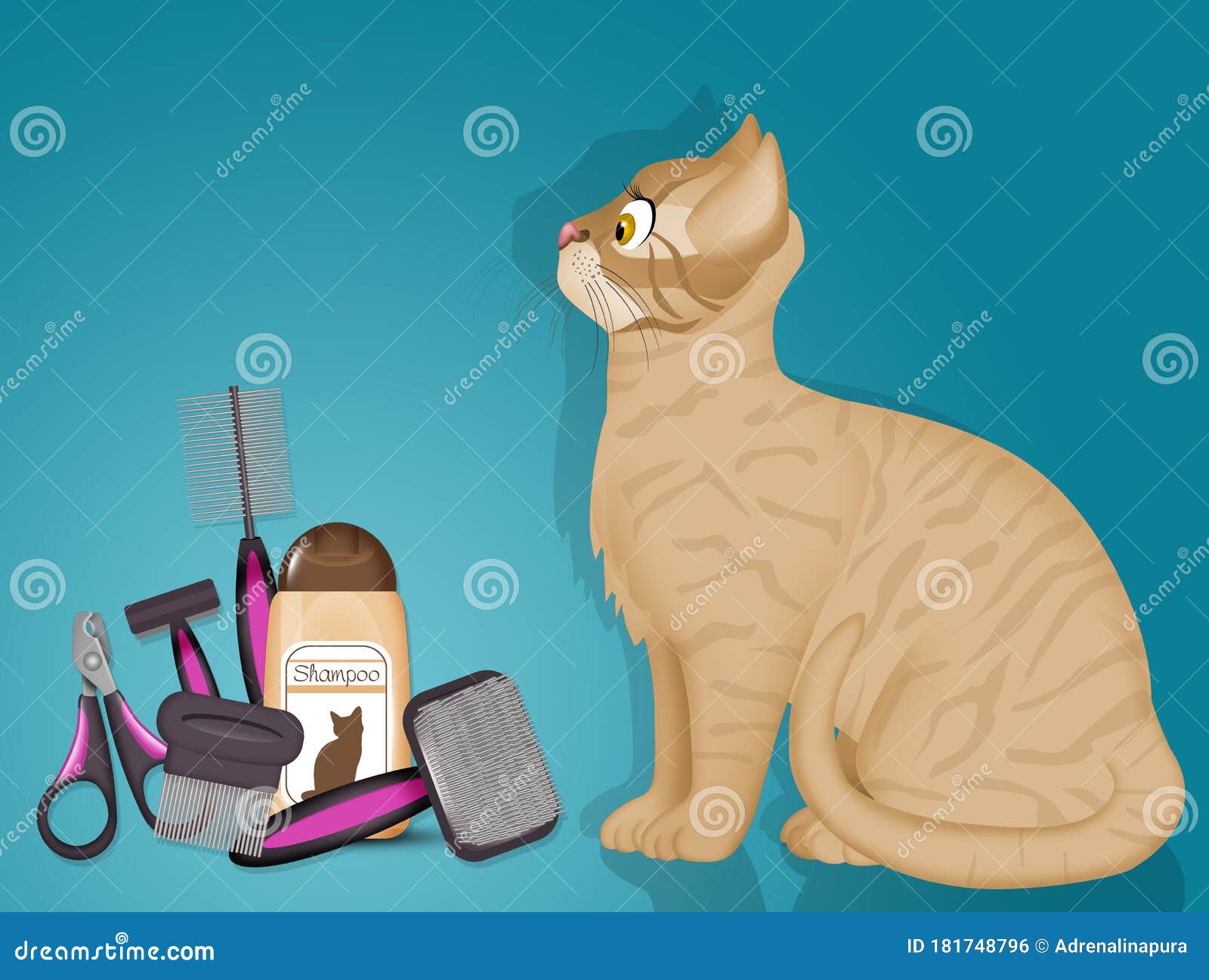 Grooming Cats Cartoon Vector | CartoonDealer.com #43439999