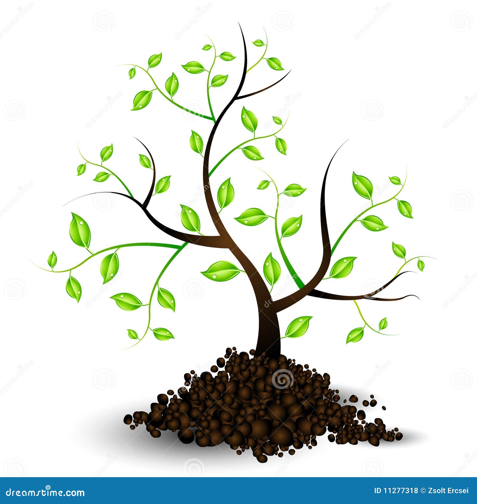 Illustration of the Growth of a Young Tree Stock Vector - Illustration ...